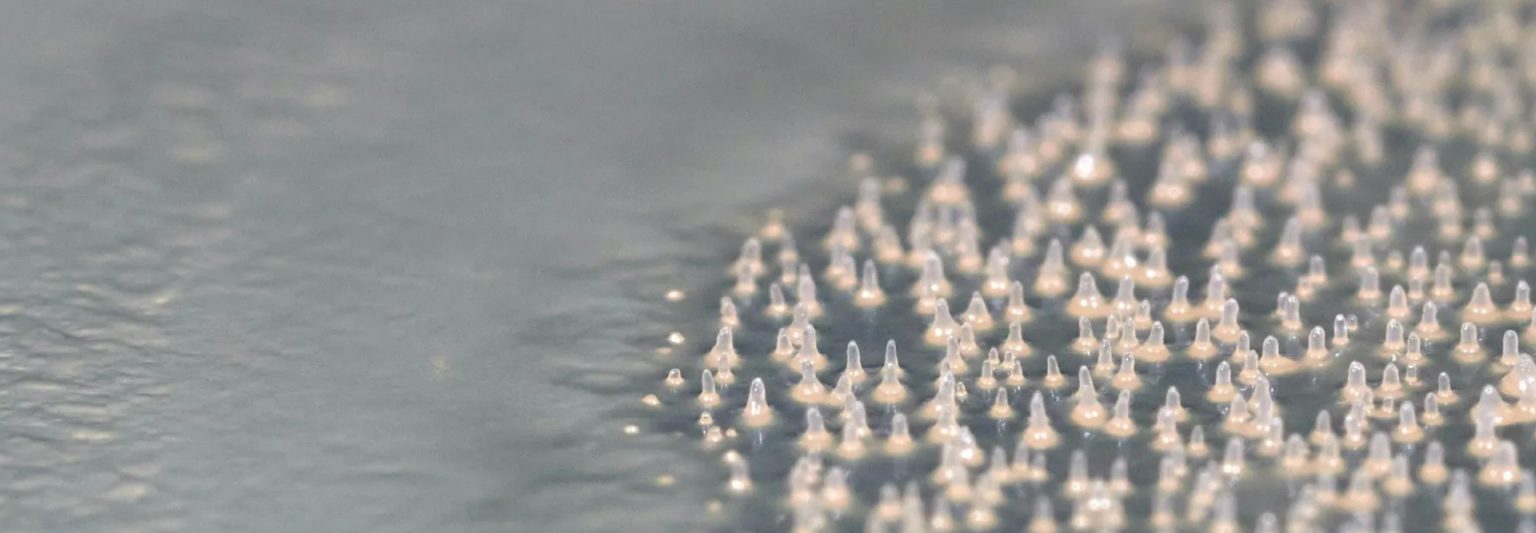 Cancer-like Slime Mold Growth Hints at Multicellularity’s Origins ...